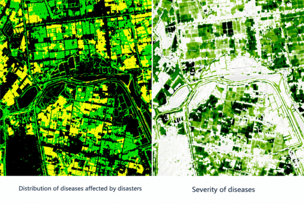 Enhanced Vegetation Index (EVI): Formula, vs NDVI & Uses